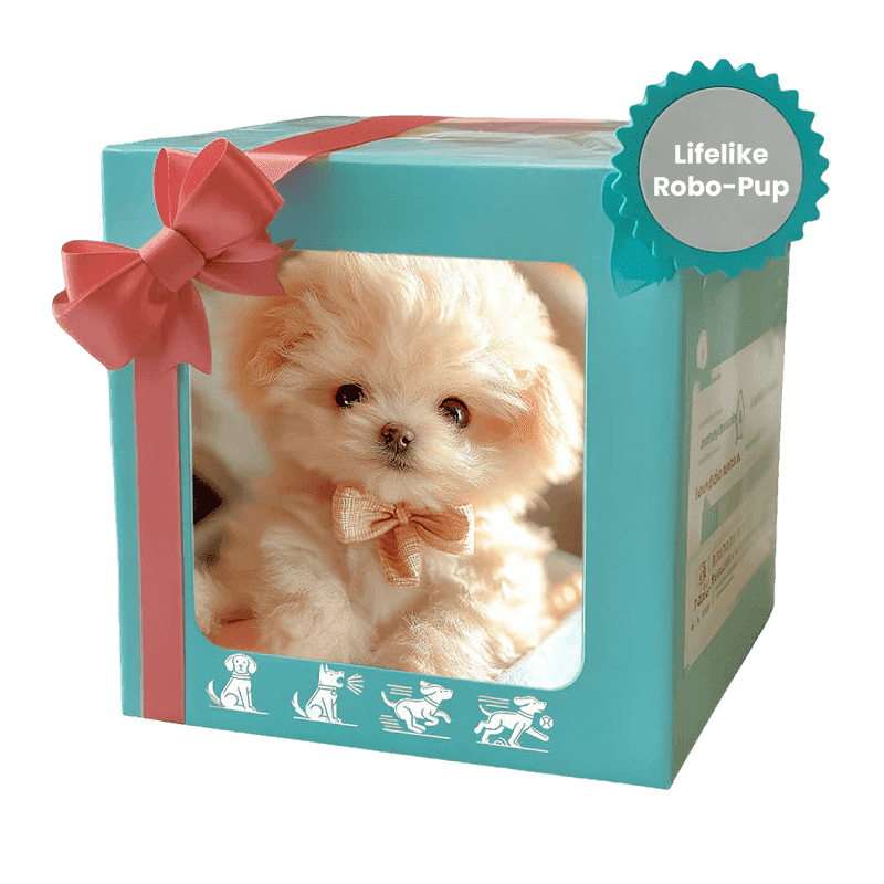 CuraBall Review: 60-Day Test Results and Expert Verdict